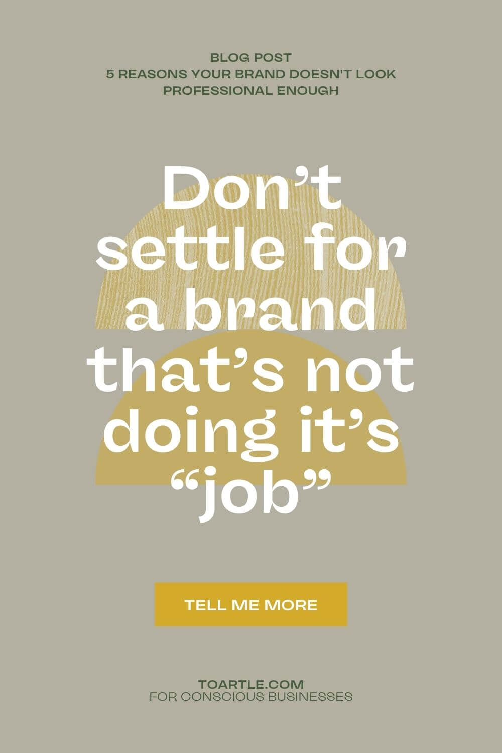 5 reasons your brand doesn't look professional enough | Toartle